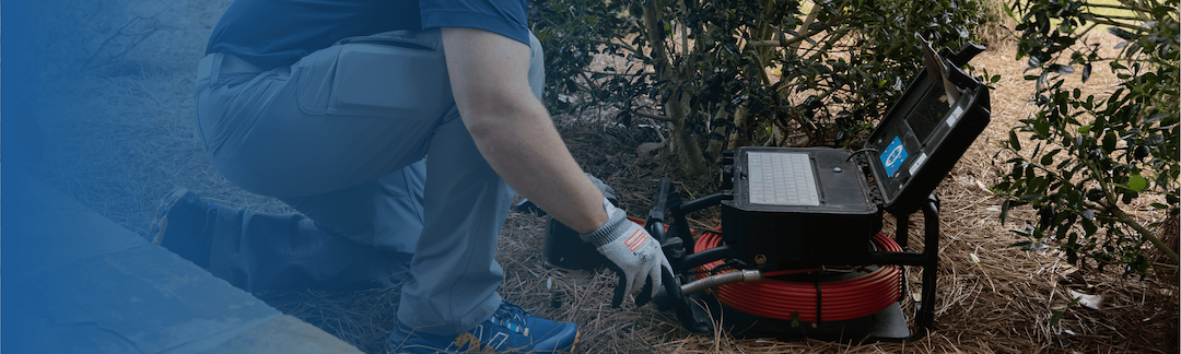 WDO Inspection: A Guide to Wood Destroying Organism Inspections