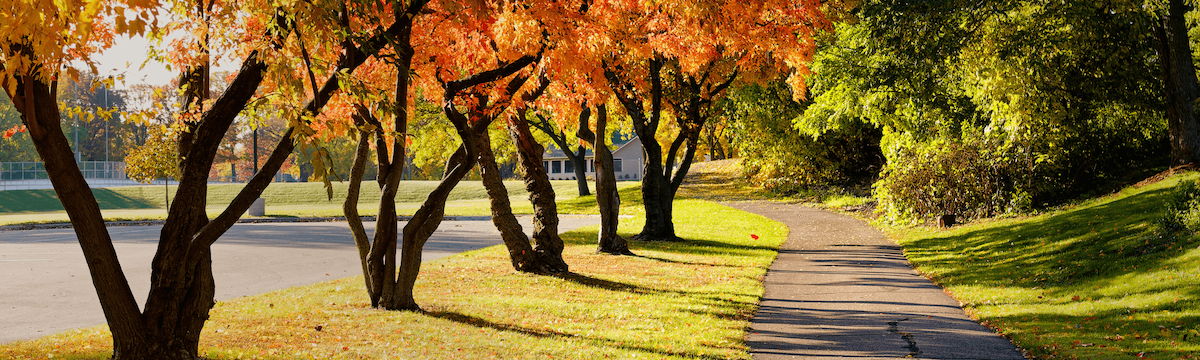 Essential Guide to Permanent and Temporary Structural Support Posts