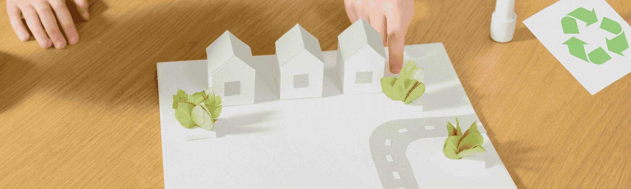 Identifying Mold Types and Their Terminology