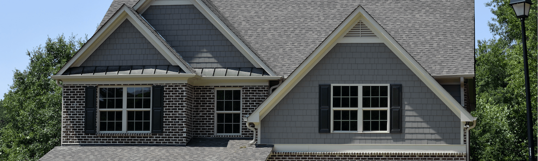 WDO Inspection: A Guide to Wood Destroying Organism Inspections