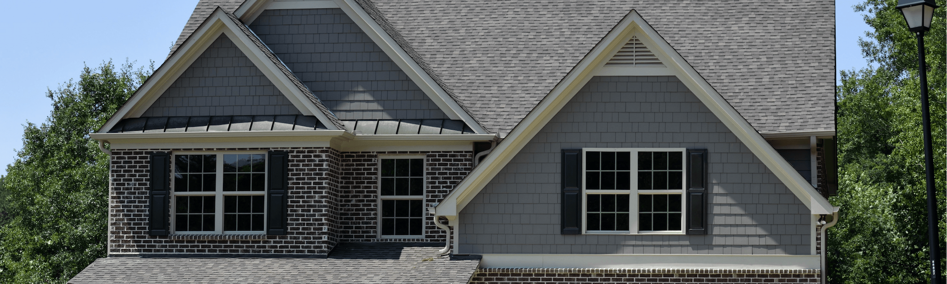 WDO Inspection: A Guide to Wood Destroying Organism Inspections